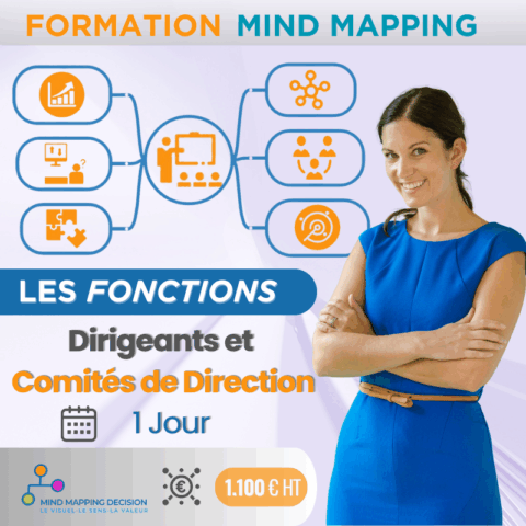 Formation Mind Mapping pour Dirigeants, CoDir, ComEx, CoPil