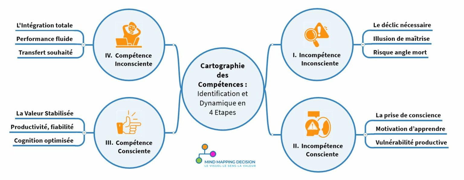 Cartographie Compétences 2026 : Modèle 4 Etapes et Mapping RH